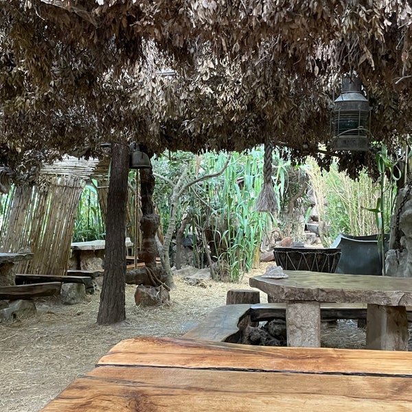 Safari Bar - 42 tips from 1057 visitors