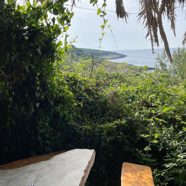 Safari Bar - 42 tips from 1057 visitors