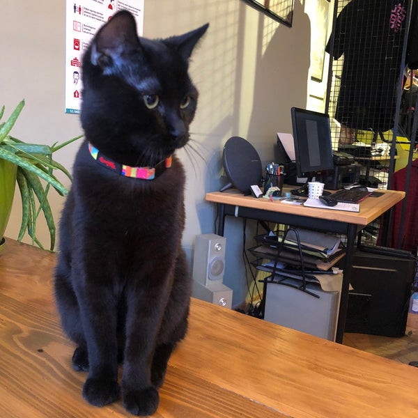 Freak Tattoo Studio - Tattoo Parlor in Beşiktaş