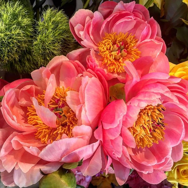 Photos at The Bud Stop - Union Street - 3 tips from 324 visitors