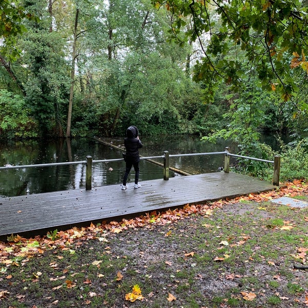 Swakeleys Park - The Avenue