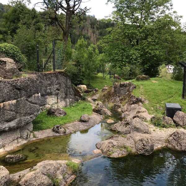 Photos at Tierpark Goldau - 11 tips from 586 visitors
