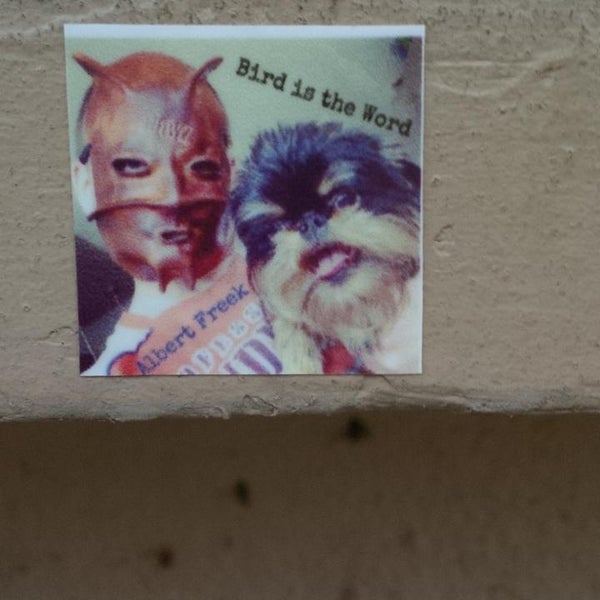 C B Drive Inn - Collingwood - 6 tips