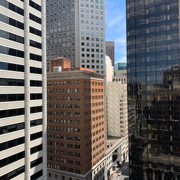 343 Sansome Roof Garden - Garden in San Francisco