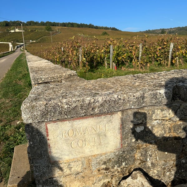 Romanée Conti Grand Cru - 8 tips from 514 visitors