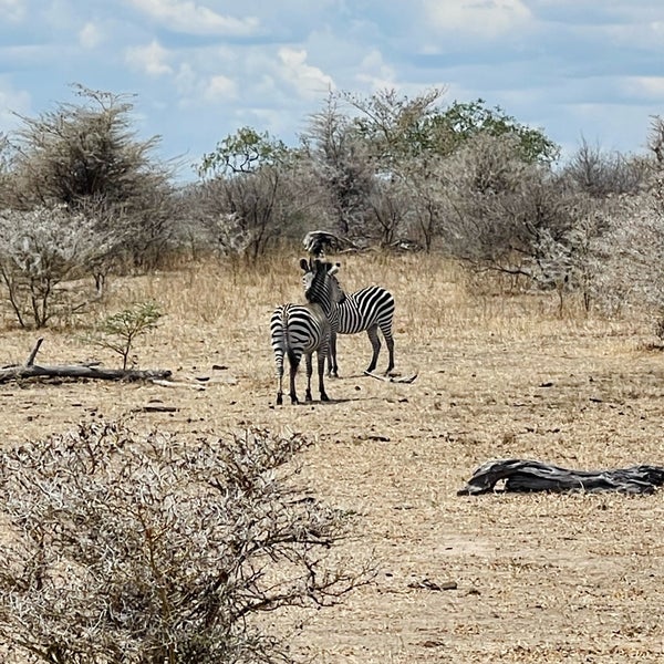 Selous Game Reserve