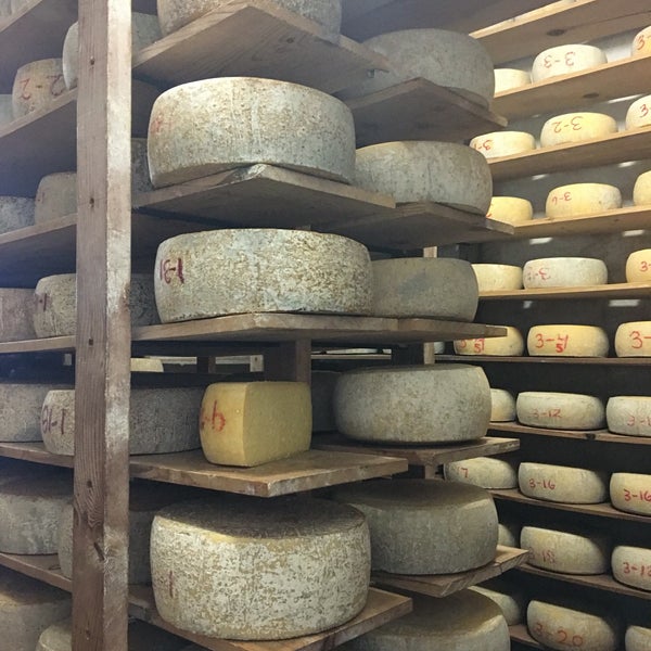 Matos Cheese Factory - Cheese Store