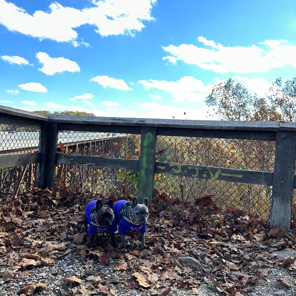 Scenic Overlook - Scenic Lookout in III