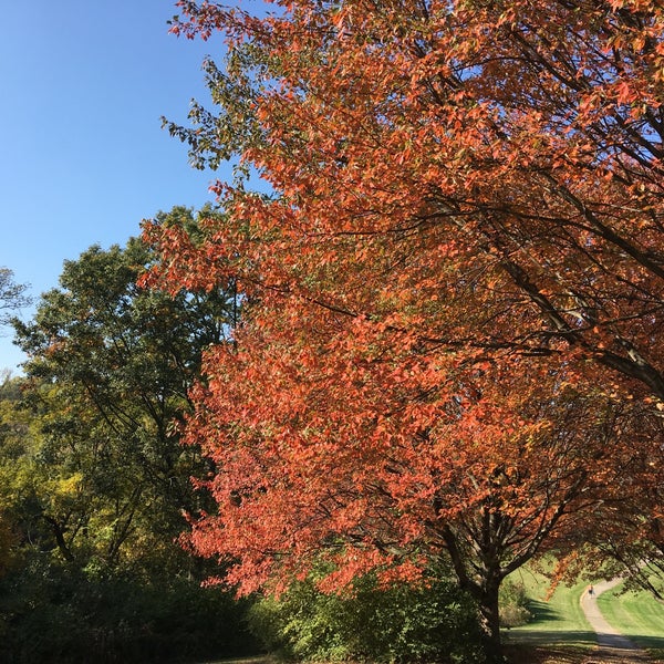 Amberley Green - Cincinnati, OH