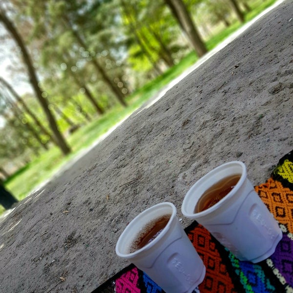 Shamim Paydari Park | پارک شمیم پایداری - 28 tips