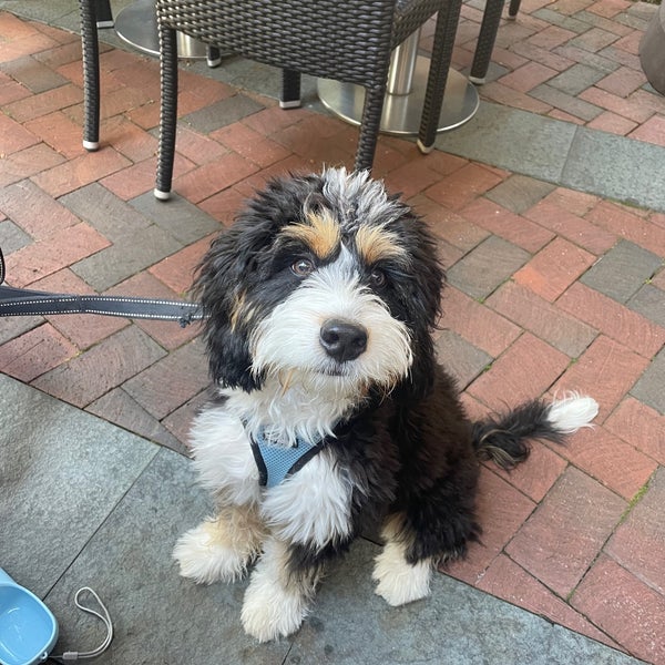 Guide to all the best bars in Clarendon and why.