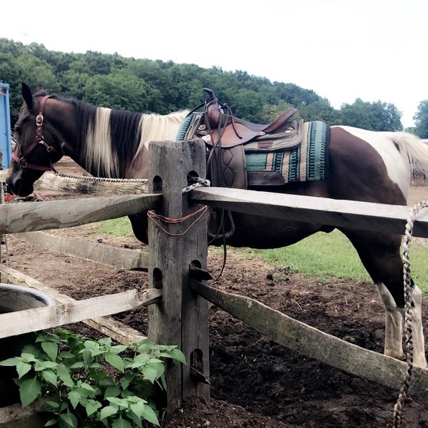 Photos at Legacy Riding Stables - Sayreville, NJ