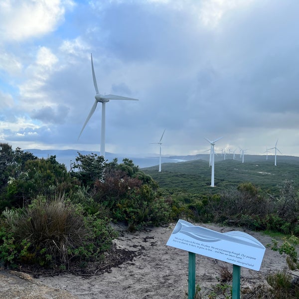Albany Wind Farm - 5 tips from 306 visitors
