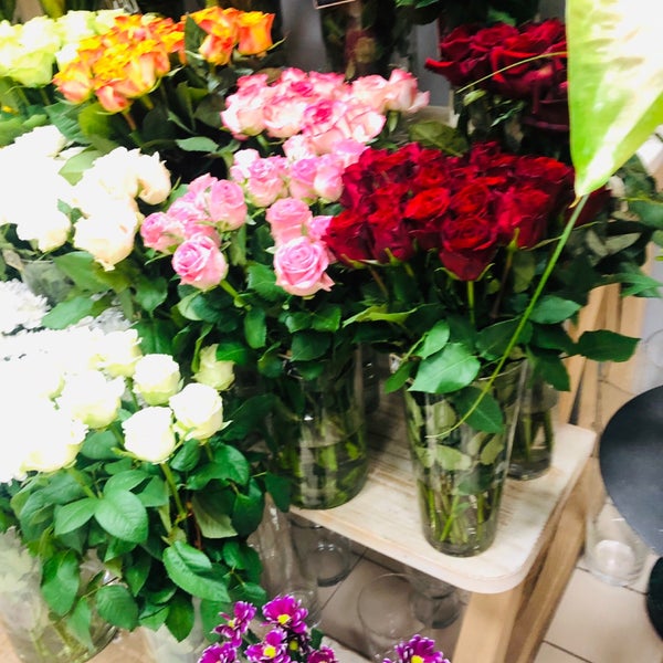 Maxima XX - Talsi, Talsi Municipality