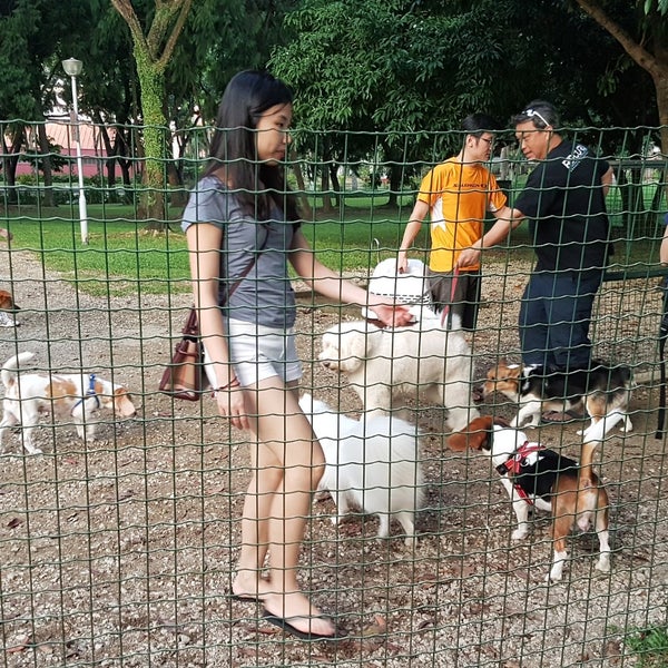 Dog Run @ Bishan Park - Ang Mo Kio - Ang Mo Kio Avenue 1