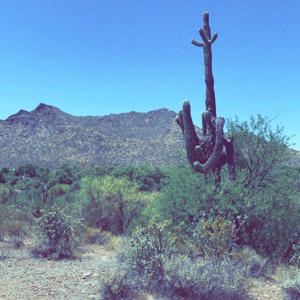 Salt River Tube Endpoint - Rafting Spot