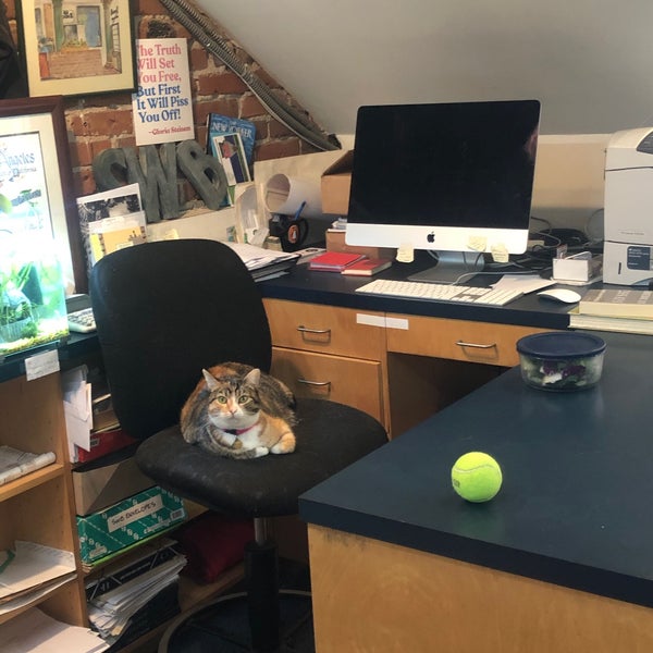 Small World Books - Bookstore in Venice