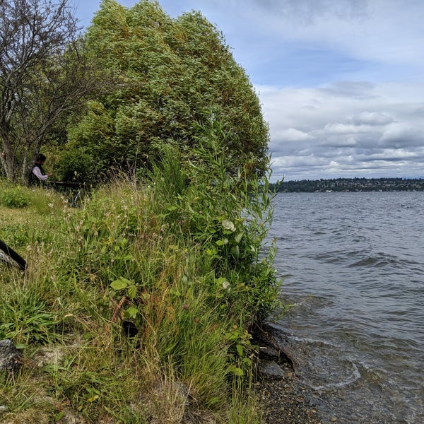 Magnuson Park Boat Launch - Boat Launch
