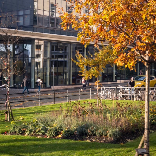 Marjorie and Arnold Ziff Building - Woodhouse - 3 tips