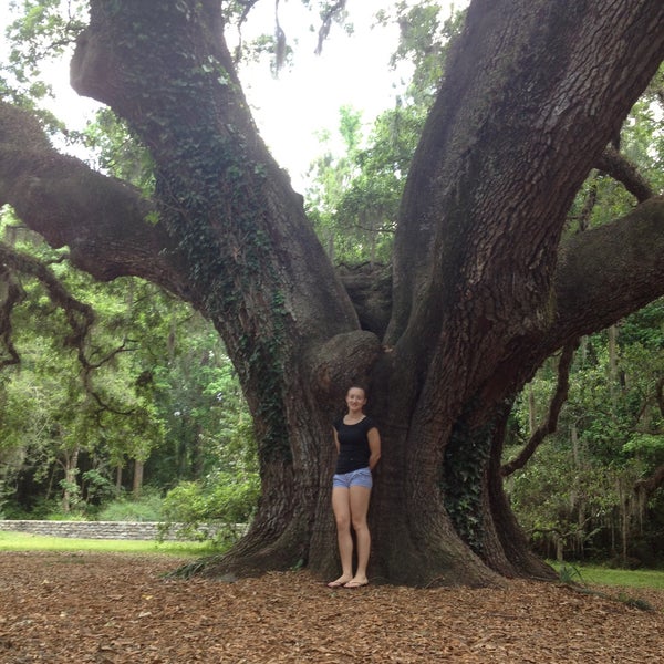 Lichgate On High Road - Park