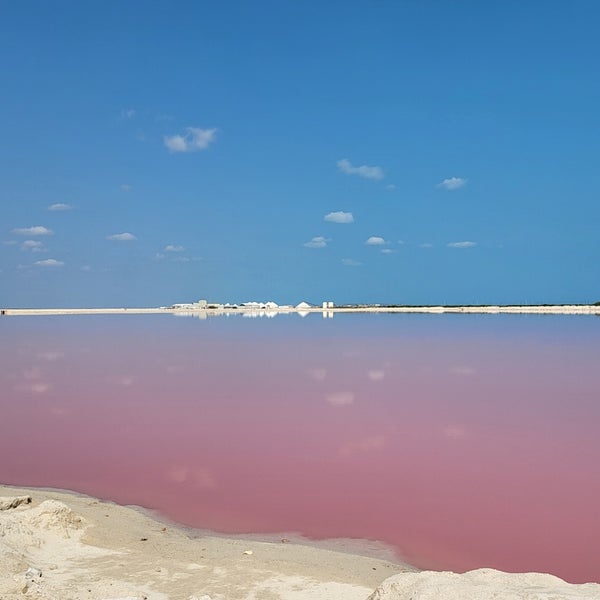 Las Coloradas - 31 tips from 1733 visitors