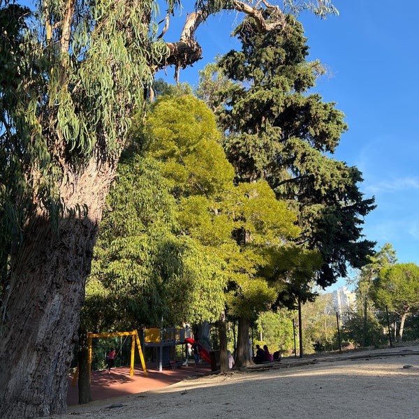 Mata de Benfica - Parque Silva Porto - Park