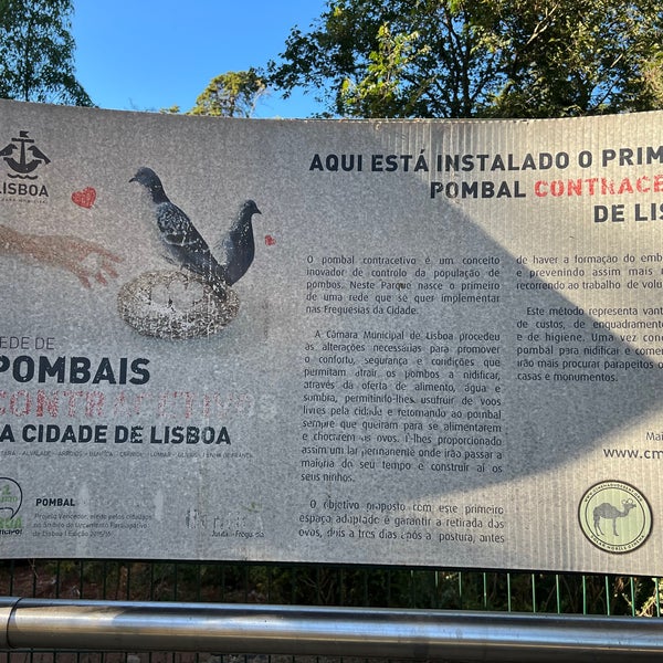 Mata de Benfica - Parque Silva Porto - Park