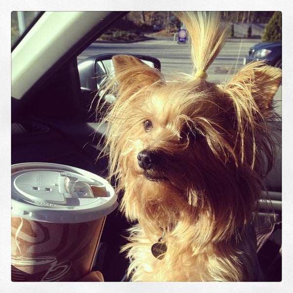 Wayland Variety & Deli - Sandwich Spot in Wayland