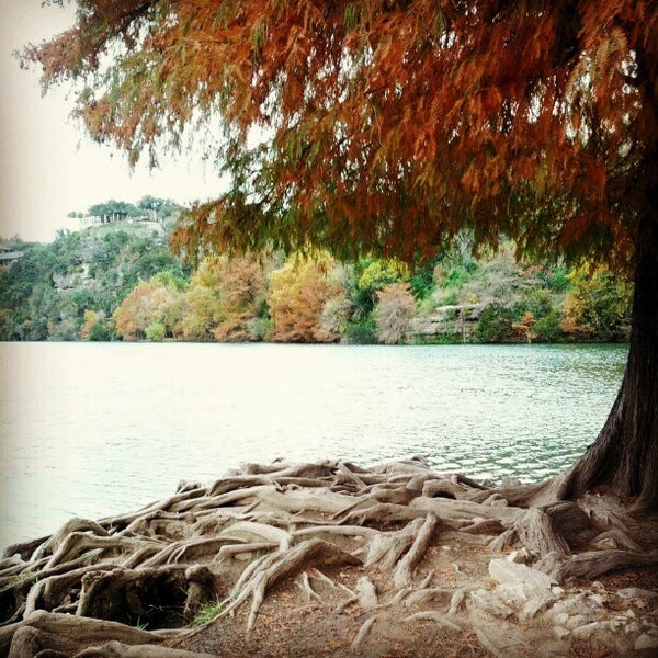 Red Bud Isle - Dog Run in Austin