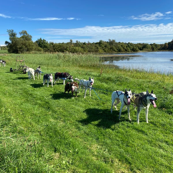 Eaton Reservoir Western Boat Ramp - North East, PA
