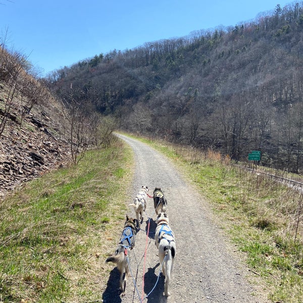 Back Mountain Trail - 1 tip from 91 visitors