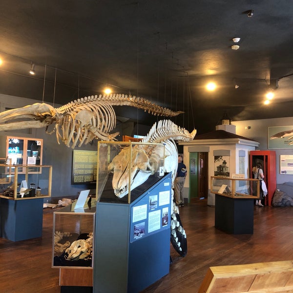 The Whale Museum - Friday Harbor, WA