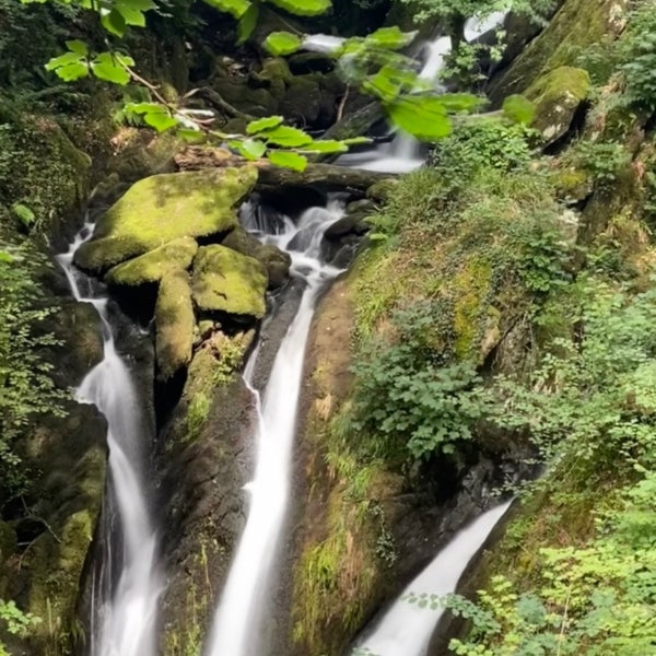 Stock Ghyll Force Waterfalls - Ambleside, Cumbria