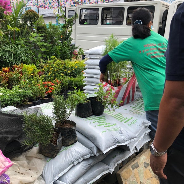 Cartimar Greenland Plants And Orchids - Garden Center in Pasay City ...