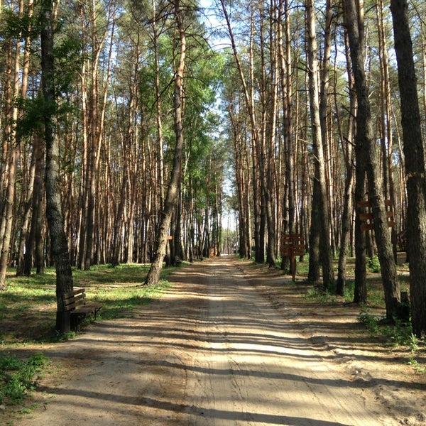 Пикник Парк Фото – Telegraph