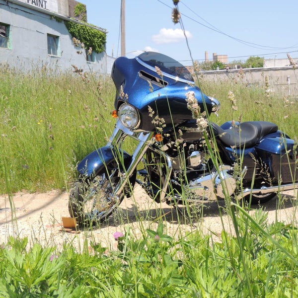 Shoreline Harley-Davidson - Motorcycle Dealership