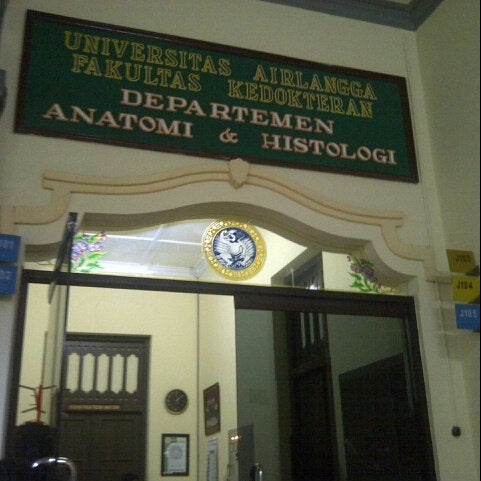 Ruang Praktikum Anatomi FK Unair - 23 visitors