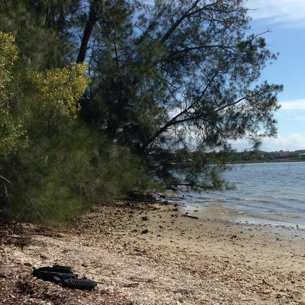 Big Edwards Island - Sarasota, FL