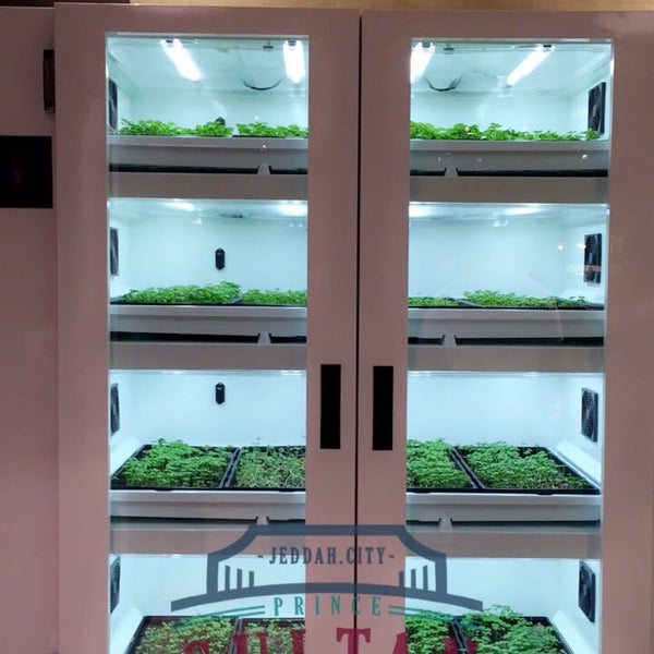 Boga | بوقا - Health Food Store in Jeddah