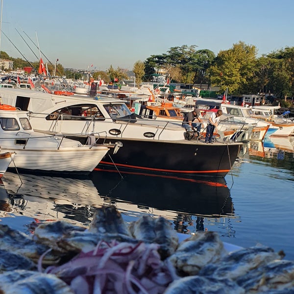 Efsane Engin Balıkcılık& Ali Seymen - İstinye - 8 tips from 13 visitors