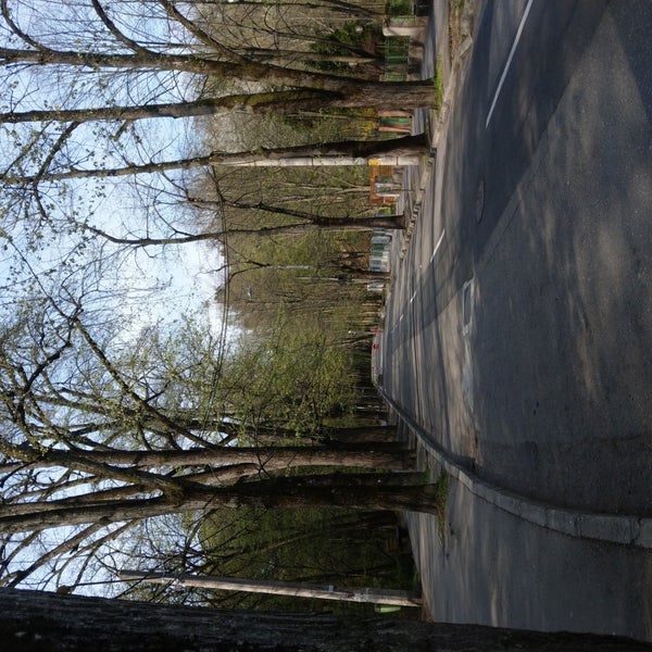 Parcul Trivale - 4 tips from 114 visitors