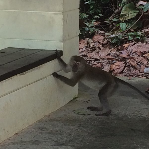 Thomson Ridge Entrance - Bishan - Jalan Lembah Thomson