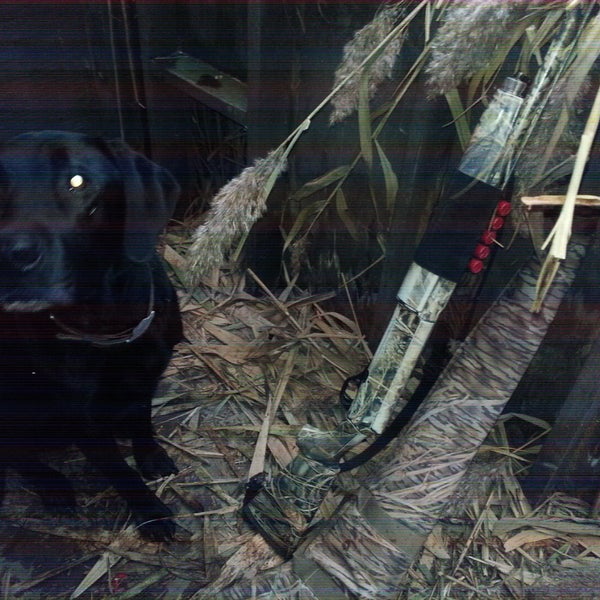 Banner Marsh Fish & Wildlife Area - 1 tip