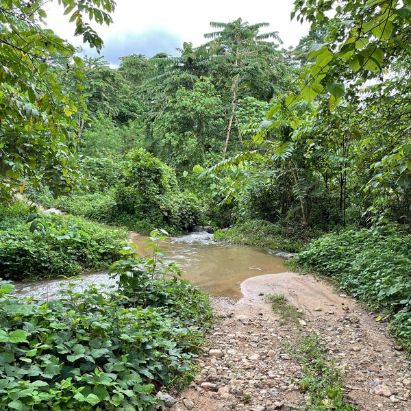Khao Phanom Bencha National Park