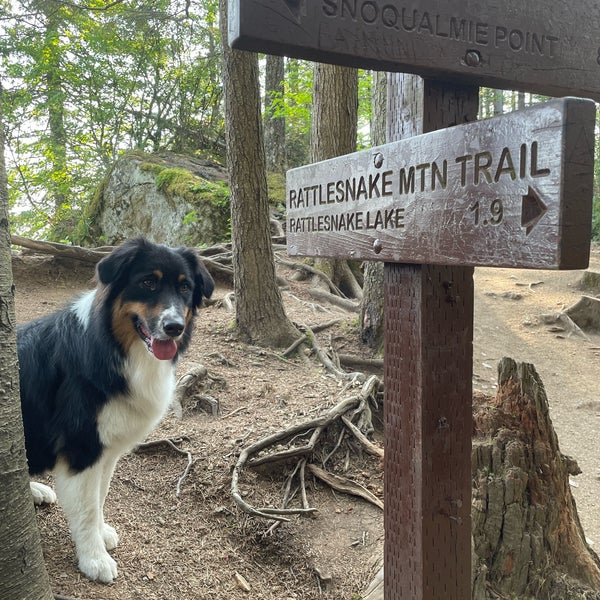 Rattlesnake Ledge Trail - Hiking Trail