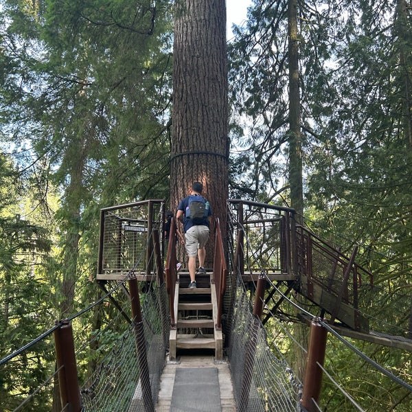 Capilano Suspension Bridge Tree Top Adventure