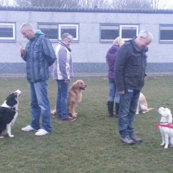 Dierenasiel Almere - Animal Shelter in Almere Buiten