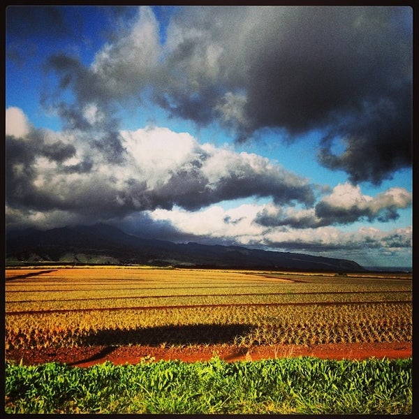 Mt. Ka'ala - Waialua, HI