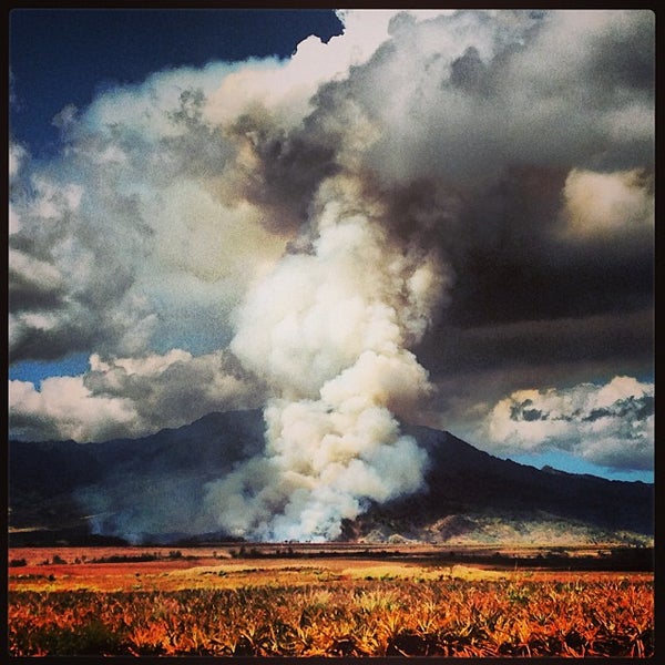 Mt. Ka'ala - Waialua, HI