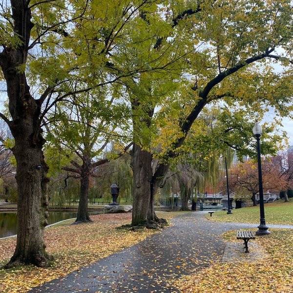 Good Will Hunting Bench - Arts and Entertainment in Beacon Hill
